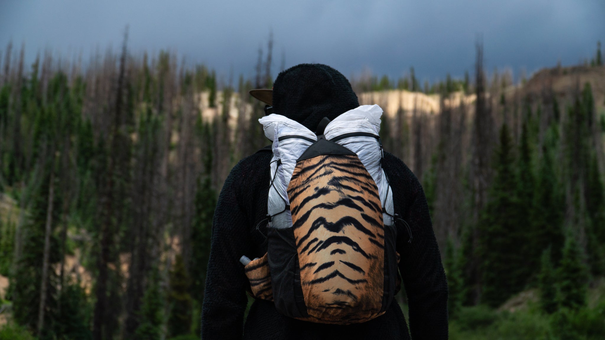 Exotic Backpacks – exoticpax